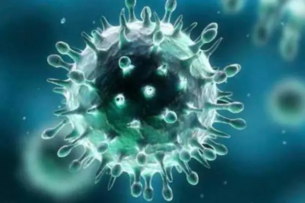 India diserang oleh virus baru yang tidak diketahui sains